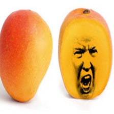 Trump to Angry Mango for Google Chrome - Extension Download