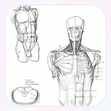 Drawing Human Body Tutorial per Android - Download