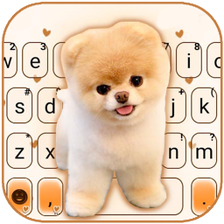 Cute Puppy Theme for Android - Download