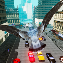 Birds Flying Simulator APK for Android - Download