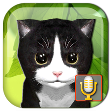 Talking Kittens virtual cat that speaks take care APK for Android ...