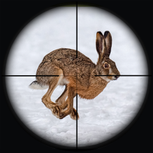 Rabbit Hunting Sniper Shooting para Android - Descargar