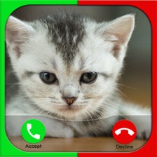 Cat Fake Call Prank For Kids per iPhone - Download
