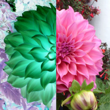 Android 용 Negativ - Live Negative Filter - 다운로드