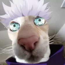 Public AUT Testing ROBLOX için - Oyun İndir