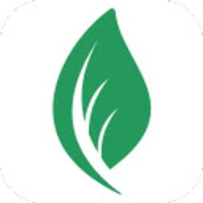 Leaf - Twitter Content Template Generator pour Google Chrome ...