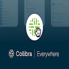 Collibra Browser Extension for Google Chrome - Extension Download