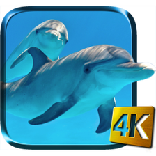 Dolphins Live Wallpaper APK for Android - Download