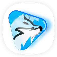 FoxFM Video Player - Offline APK for Android - Download