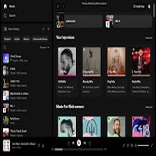 round spotify pour Google Chrome - Extension Télécharger