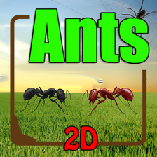 Ants 2D - Lead Your Colony to for Android - Download
