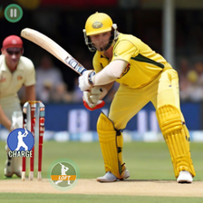 Cricket Game: Bat Ball Game 3D for Android - Download