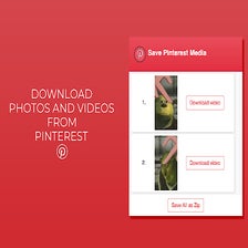 Pinterest Video and Image Downloader para Google Chrome - Extensión ...