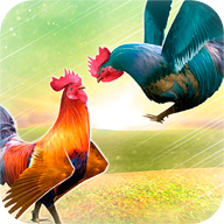 Android için Wild Rooster Run: Chicken Race APK - İndir