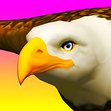 Eagle Ride per Android - Download