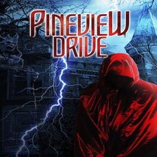 Pineview Drive für PlayStation 4 - Download