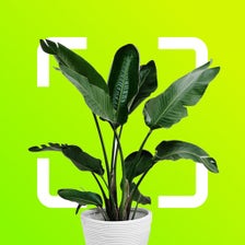 Plant Identifier: Snap scanner para iPhone - Descargar