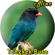 Tengkek Buto Ngekek Panjang MP für Android - Download