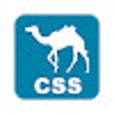 Quick Css für Google Chrome - Erweiterung Download