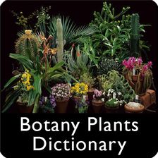 Botany Plants Dictionary APK para Android - Descargar