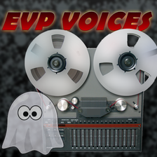 Android için EVP VOICES 2020 APK - İndir