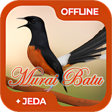 Masteran Murai Batu Medan APK for Android - Download