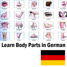 Learn Body Parts in German APK สำหรับ Android - ดาวน์โหลด