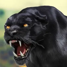 Black Panther Family Simulator- Wild Animal Attack for Android - Download