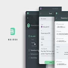 Echo Bridge for Google Chrome - Extension Download
