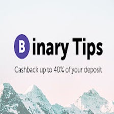 Binary Tips para Google Chrome - Extensión Descargar