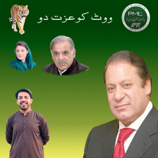 PMLN Flex Maker Photo Frames for Android - Download