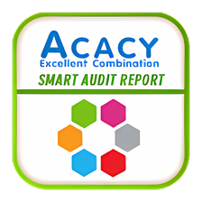 Smart Audit Report for Android - Download