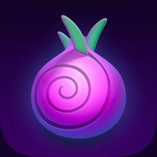 TOR Browser - Onion VPN para iPhone - Descargar