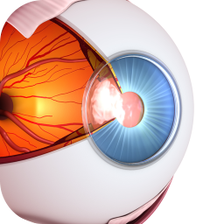 Vision Workout : Eye Training para Android - Descargar