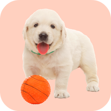 Squeaky Toy Sounds APK pour Android - Télécharger