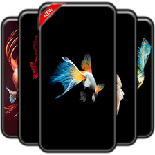 Betta Fish Wallpaper APK para Android - Descargar