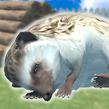 Hedgehog Friends for Android - Download