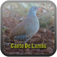 Canto De Lambu Completo for Android - Download