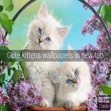 Cute kittens Wallpapers New Tab para Google Chrome - Extensión Descargar