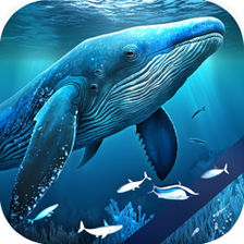 Blue Whale Video Live Wallpaper APK for Android - Download