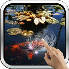 Koi Fish in the Pond APK for Android - Download