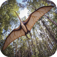 Pterosaur Flight Simulator 3D APK for Android - Download