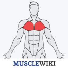 MuscleWiki Fitness APK for Android - Download