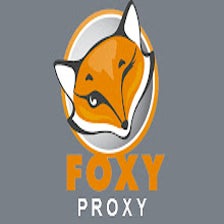 FoxyProxy Standard for Google Chrome - Extension Download