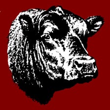 Angus Mobile para iPhone - Descargar