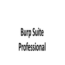 Burp Suite Professional - Download