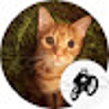 Inviolable Google Chrome için - Eklenti İndir