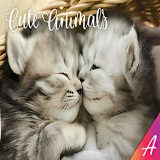 Cute Animals New Tab Theme for Google Chrome - Extension Download