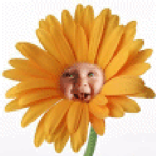 ZeallSoft FunPhotor - 다운로드