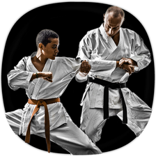 Karate Training Guide APK for Android - Download